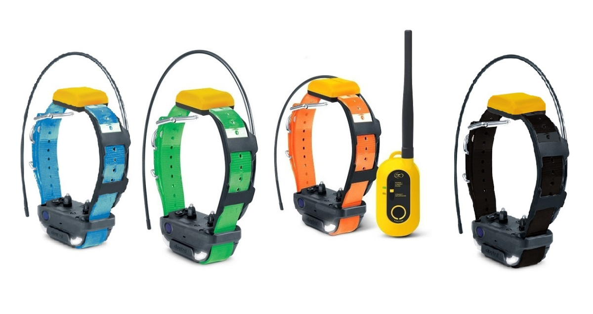 pologar > Dla 4 psów Dogtra Pathfinder 2 z GPS dla dużych psów Myśliwskich